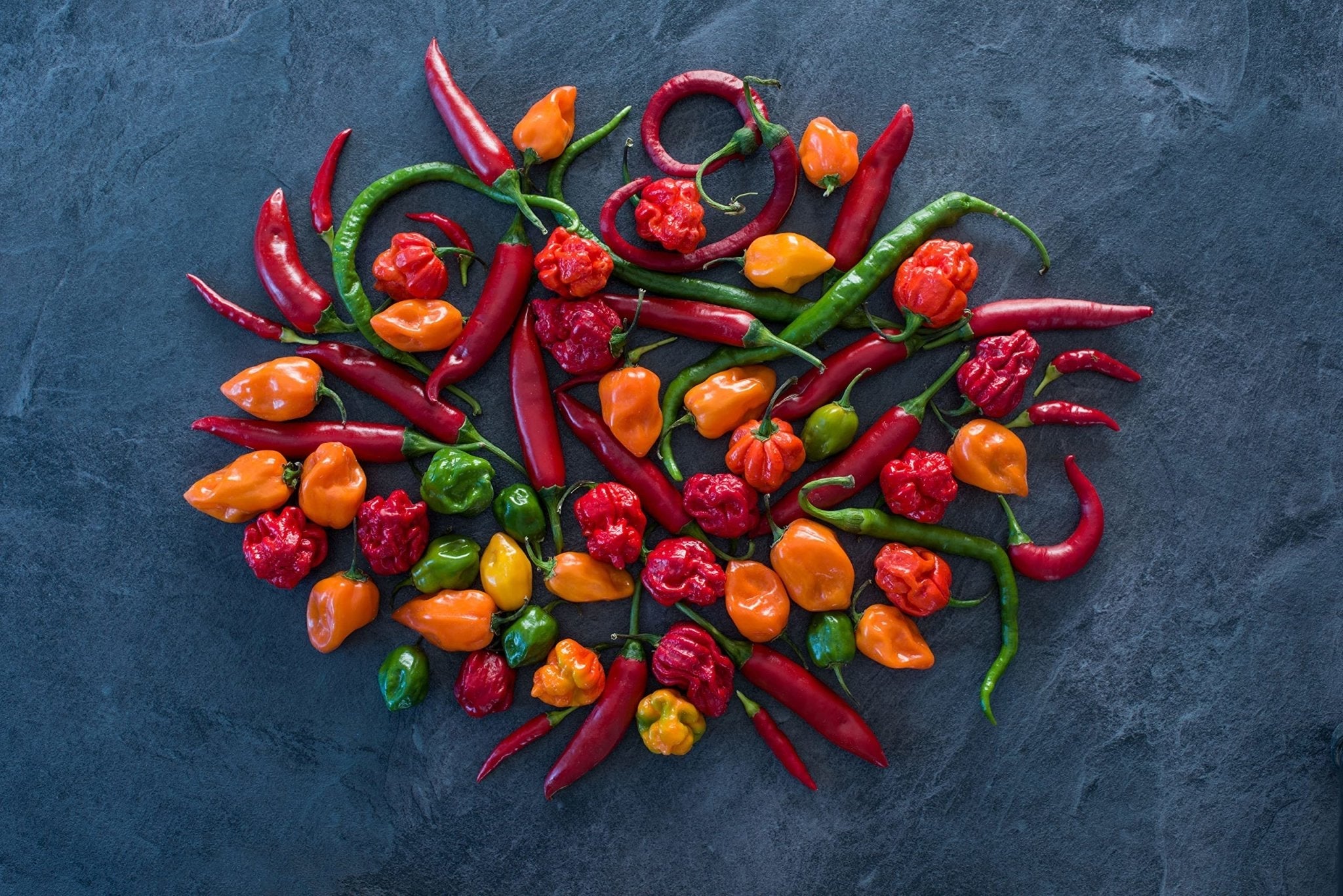 'Prairie Fire' Chilli Pepper - 12 x Plug Plant Pack – Acqua Tower