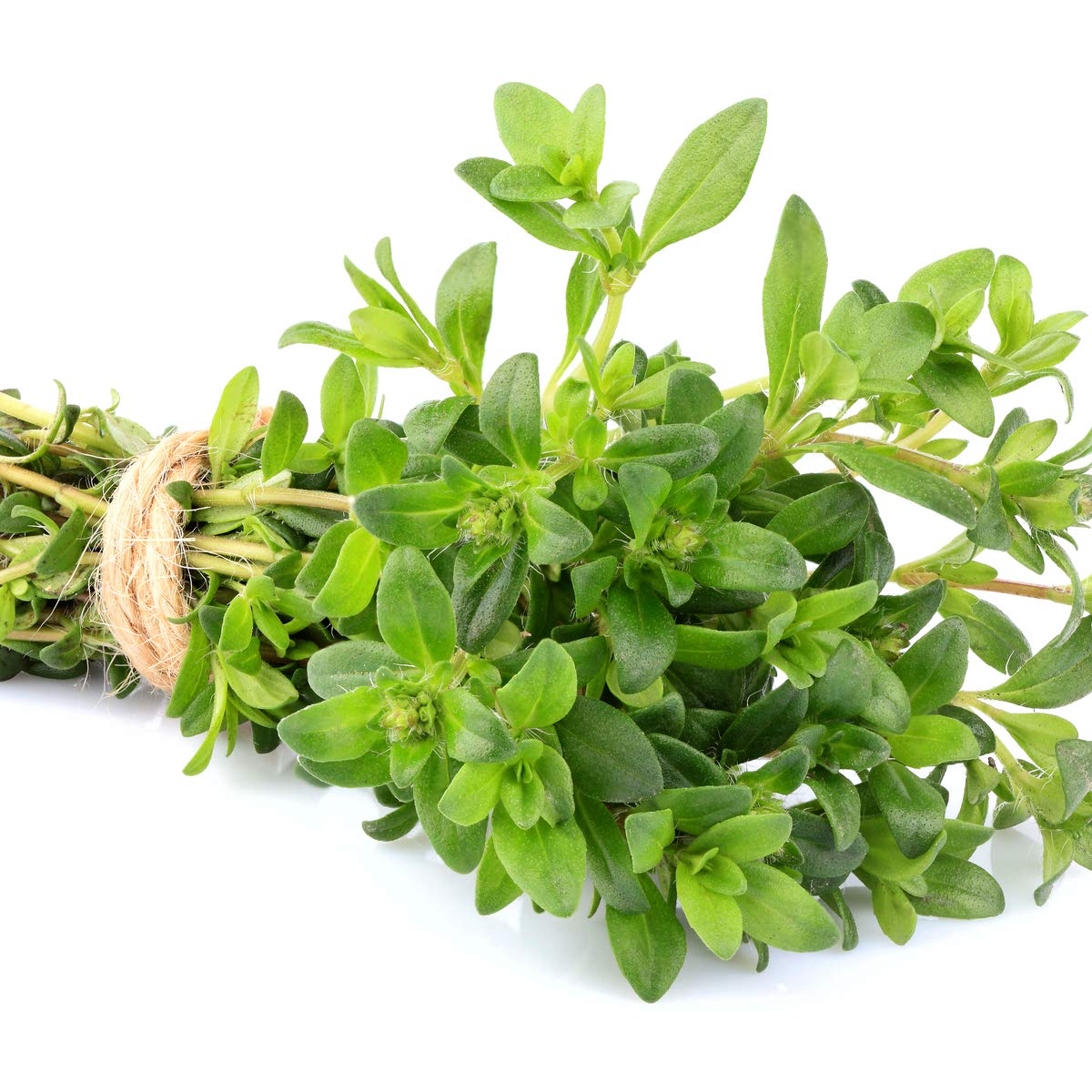 Fresh Thyme Leaves How To Dry Thyme Eating On A Dime