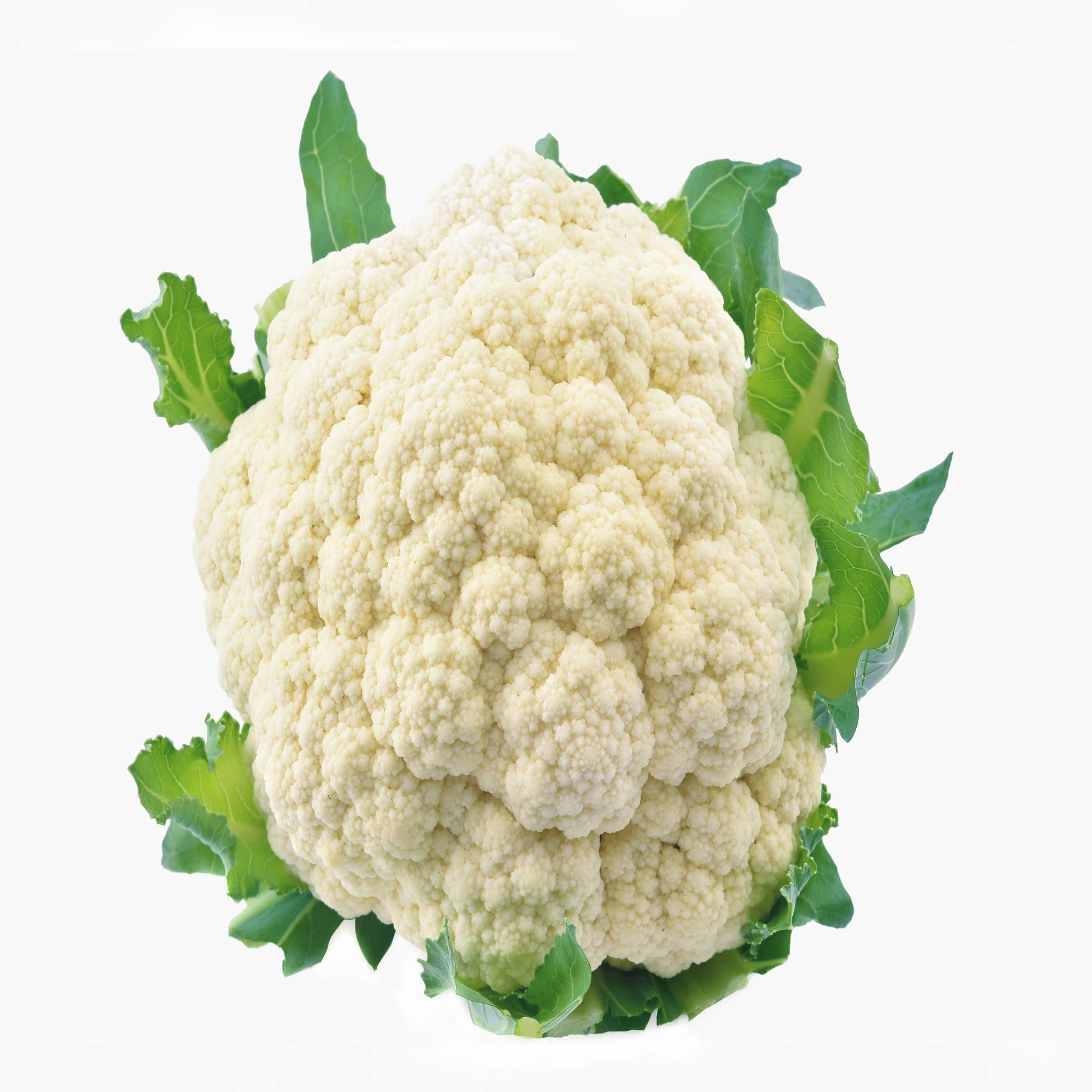 Cauliflower 'Seoul' - 6 x Plug Plant Pack – Acqua Tower